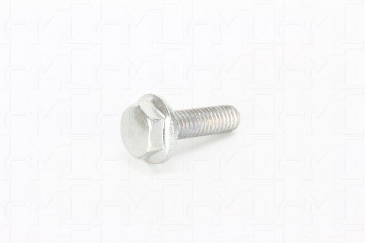 BOLT, HHF, M6 x 20, 8.8, WHIT
