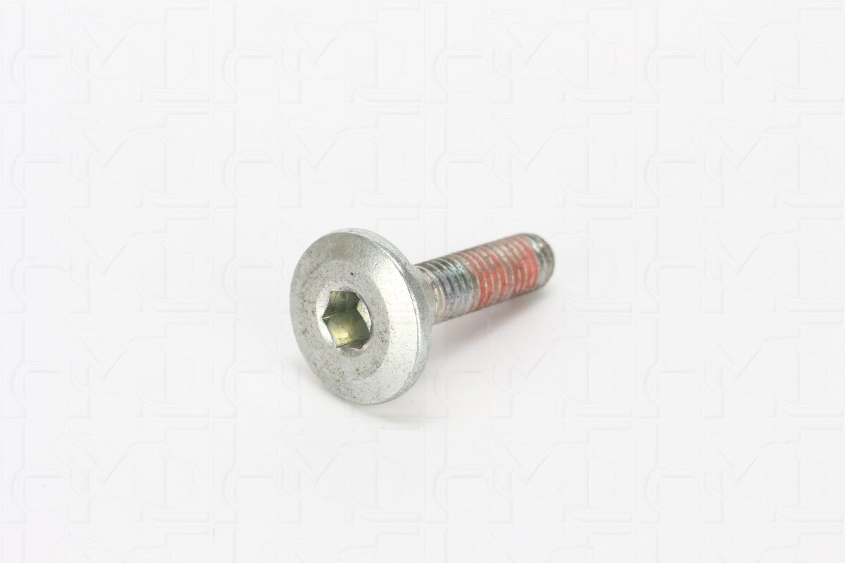 CAP HEAD SHOULDERED-M6 x 25mm