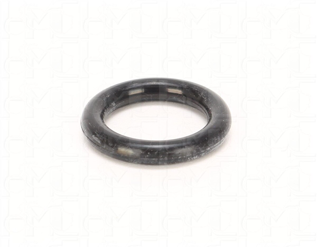 O-RING-AUTO CHAIN TENSIONER ASSEMBLY